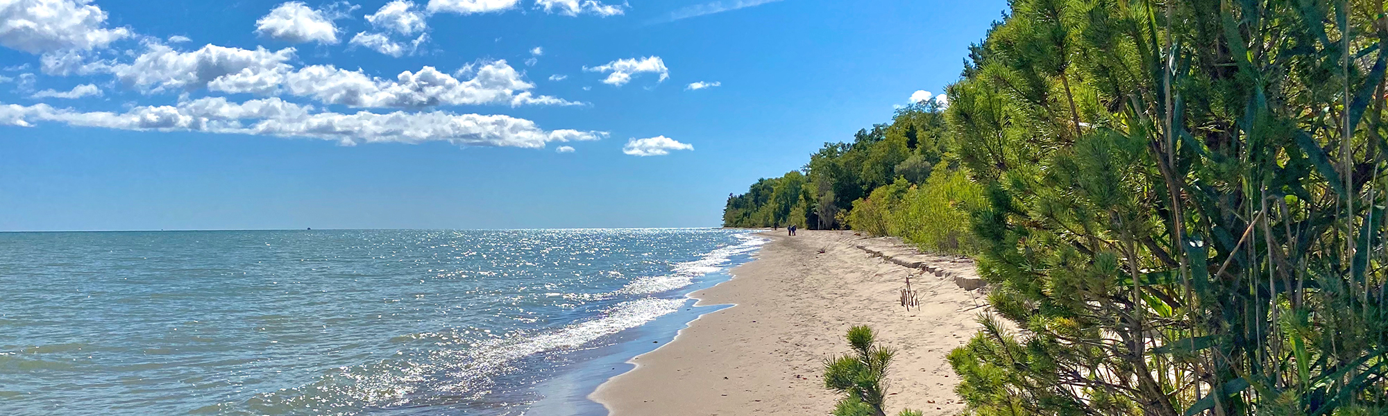 We would love to hear from you! | Blue Water Area CVB