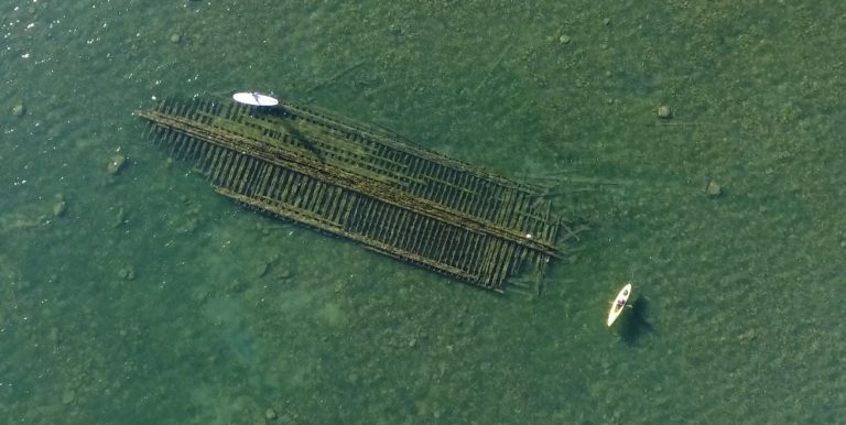 Explore the Shallow Water Shipwrecks in Harbor Beach