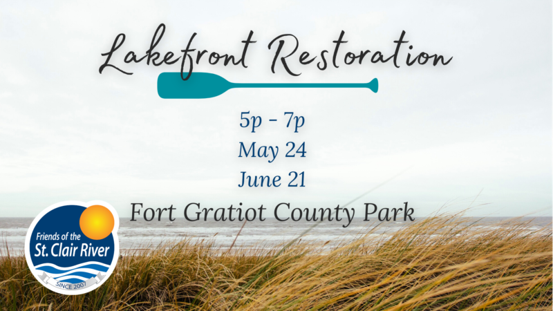 Lakefront Restoration - Fort Gratiot