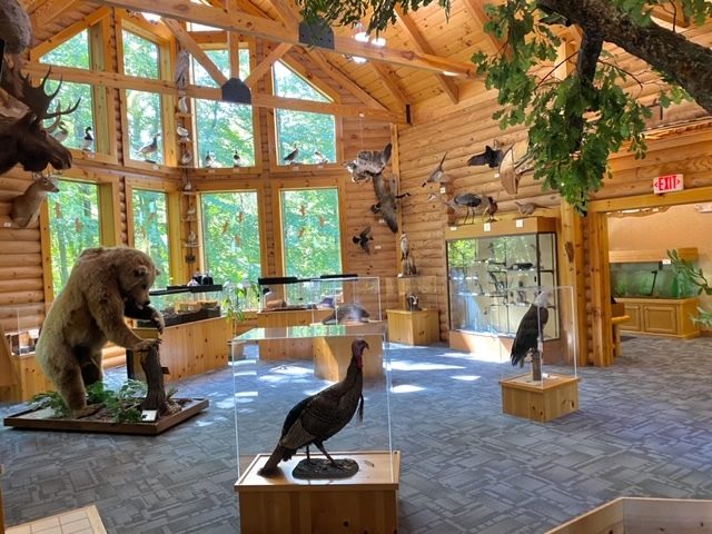Pine River Nature Center, Trail & Treehouse
