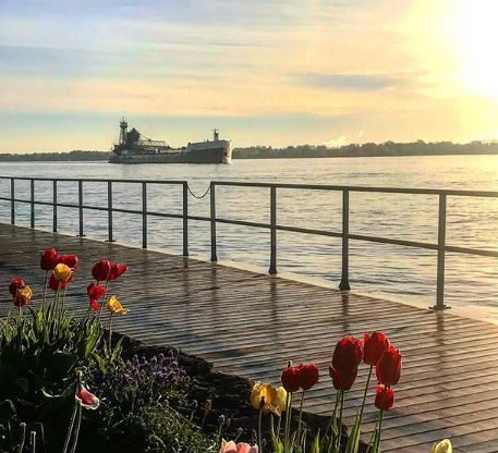 Ship - Freighter Watching