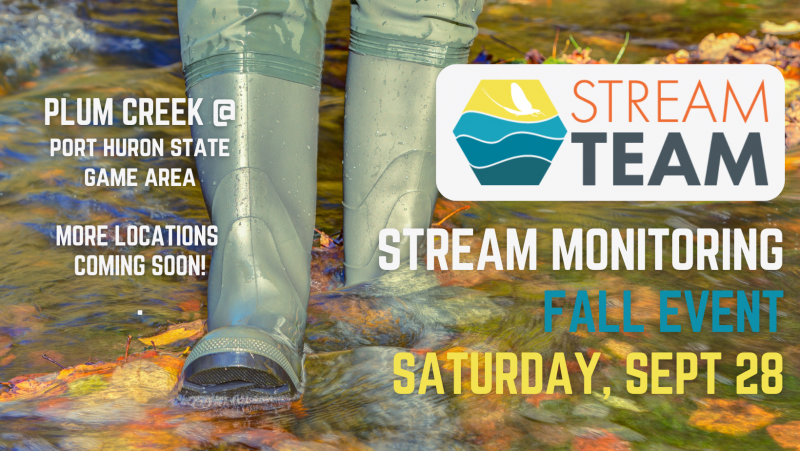 Stream Team: Fall Monitoring